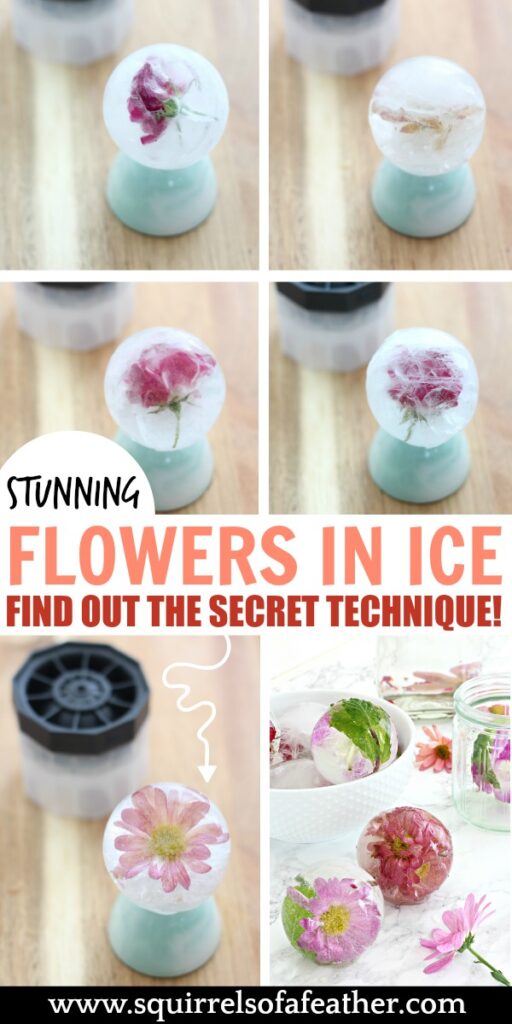 Put Edible Flowers in Ice Cubes for Perfectly Insta-Worthy Drinks