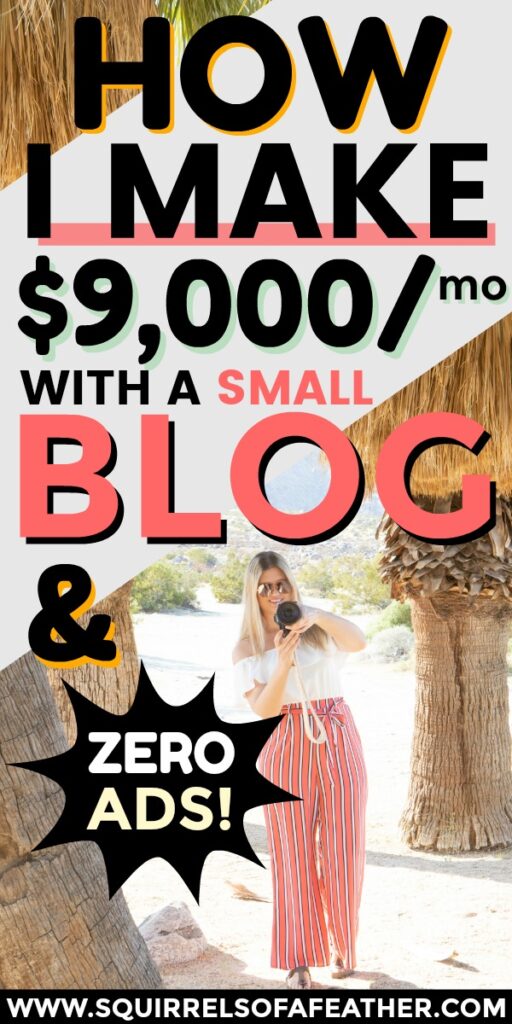 How This Small Blog Makes Up to $9,000 a Month (with No Ads!)